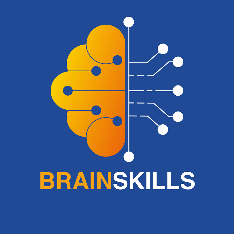 Brainskills Logo - Digital Turb